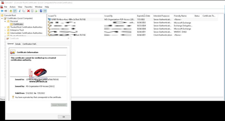 SOLVED: What is MS-Organization-P2P-Access [2021] Certificate? – Up ...