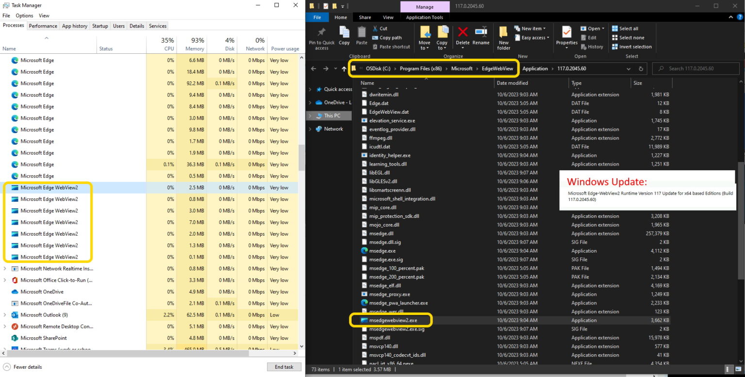Understanding MS EdgeWebView2: Stop or Uninstall?