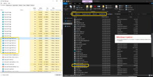 SOLVED: What is MS EdgeWebView2 & Can It Be Safely Stopped ...