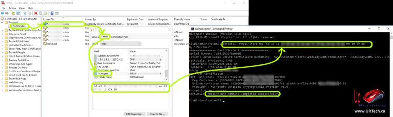 Solved New Certificate Not Appearing In Iis Bindings Up And Running Inc Tech How Tos